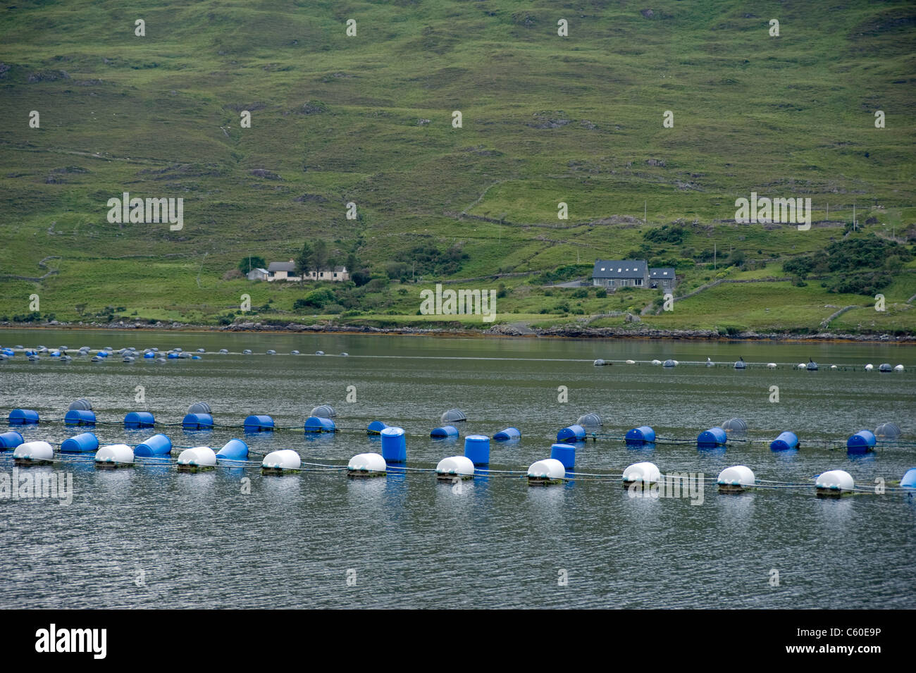 Mussel beds hi-res stock photography and images - Alamy