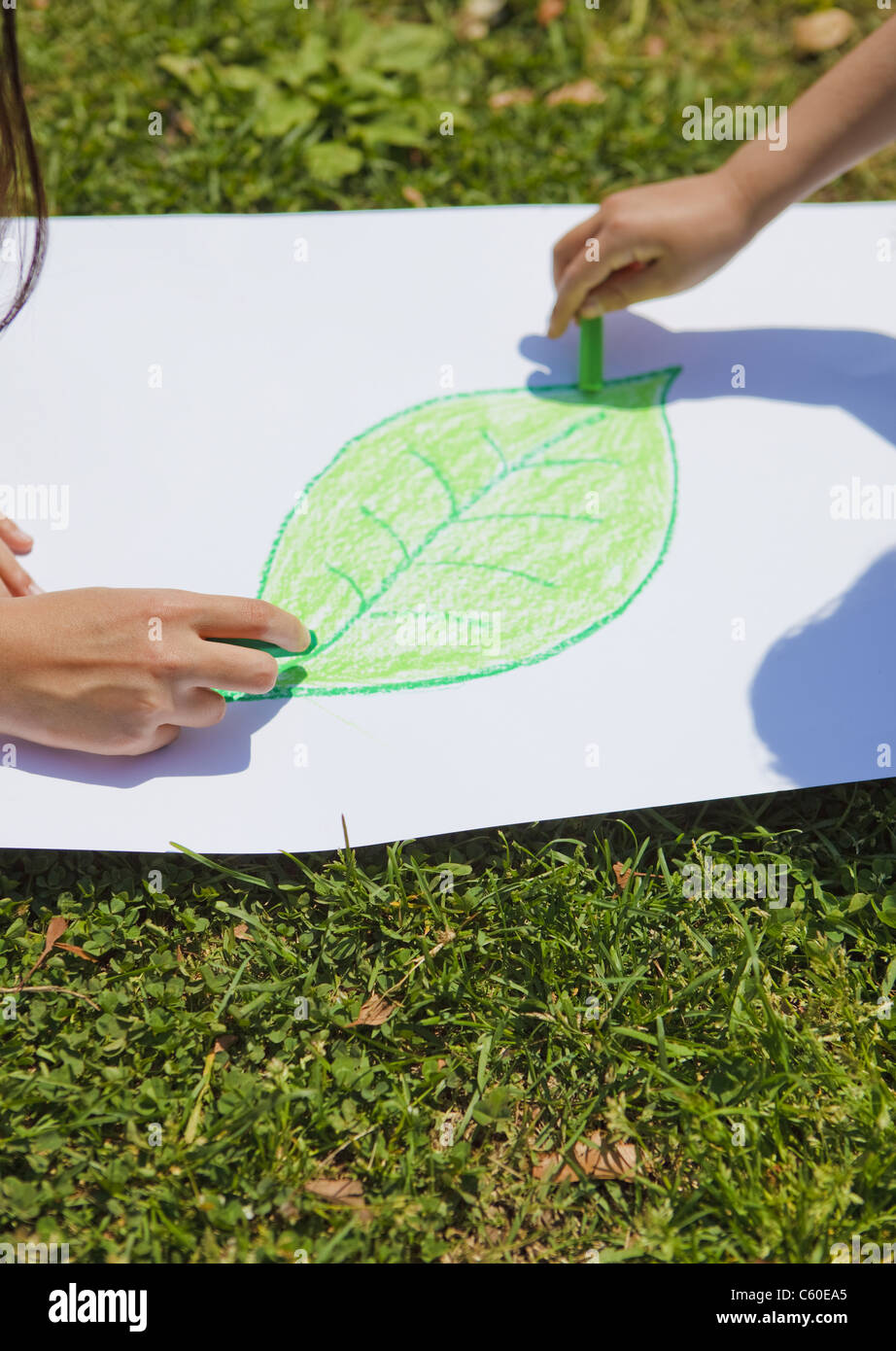 Hands drawing leaf Stock Photo - Alamy