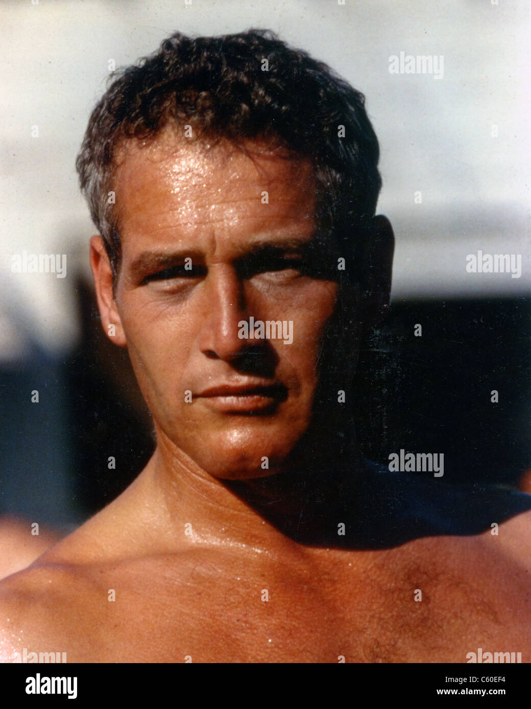 PAUL NEWMAN (1925-2008) US film actor and director about 1970 Stock ...