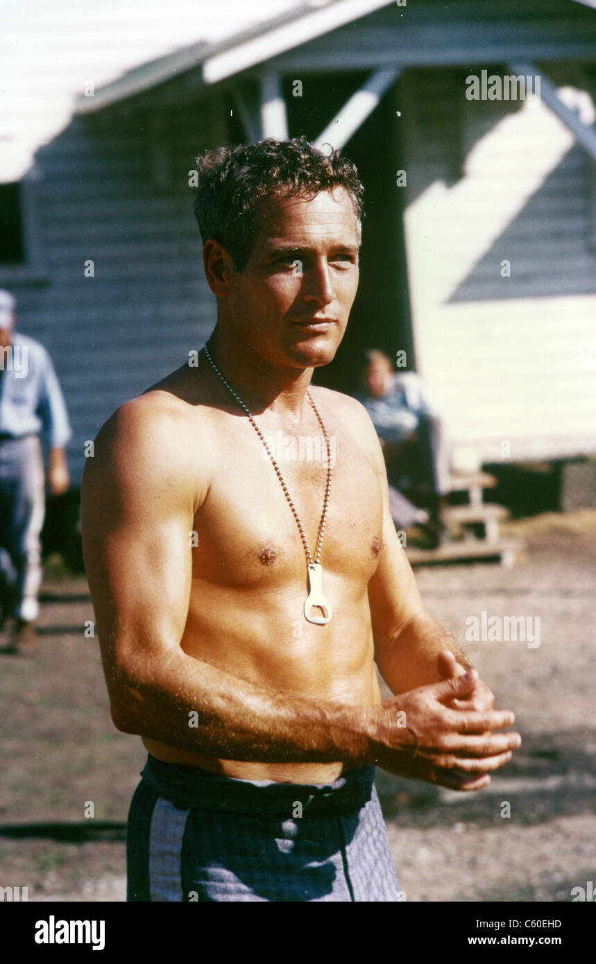 PAUL NEWMAN (1925-2008) US film actor and director Stock Photo - Alamy