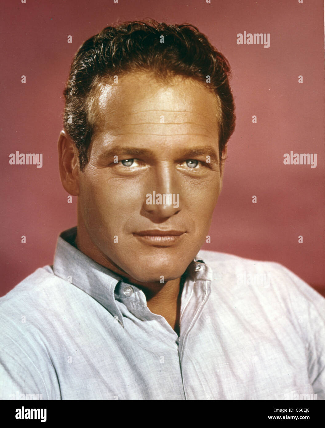 PAUL NEWMAN (1925-2008) US film actor and director Stock Photo - Alamy