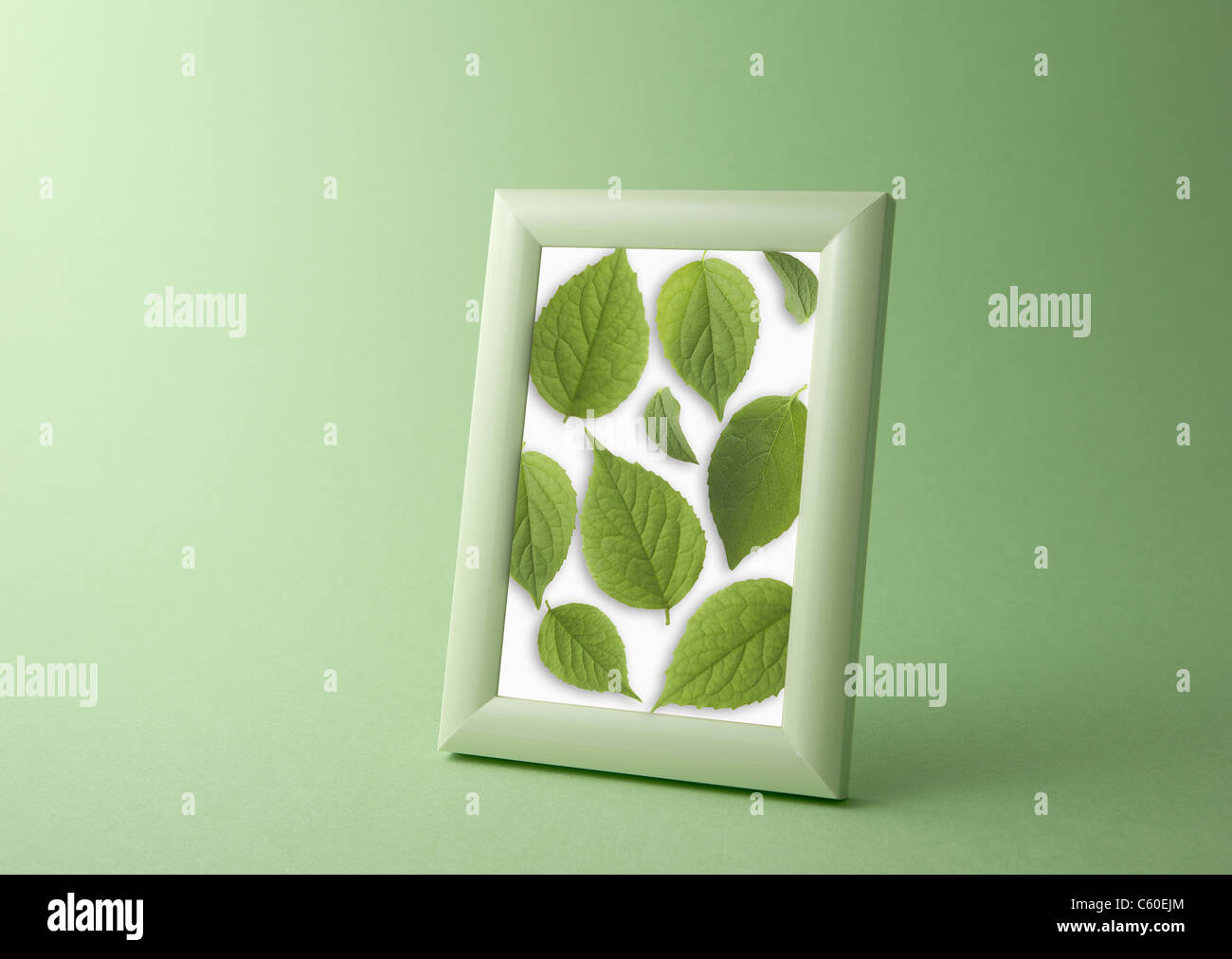 Photo frame with leaves Stock Photo - Alamy