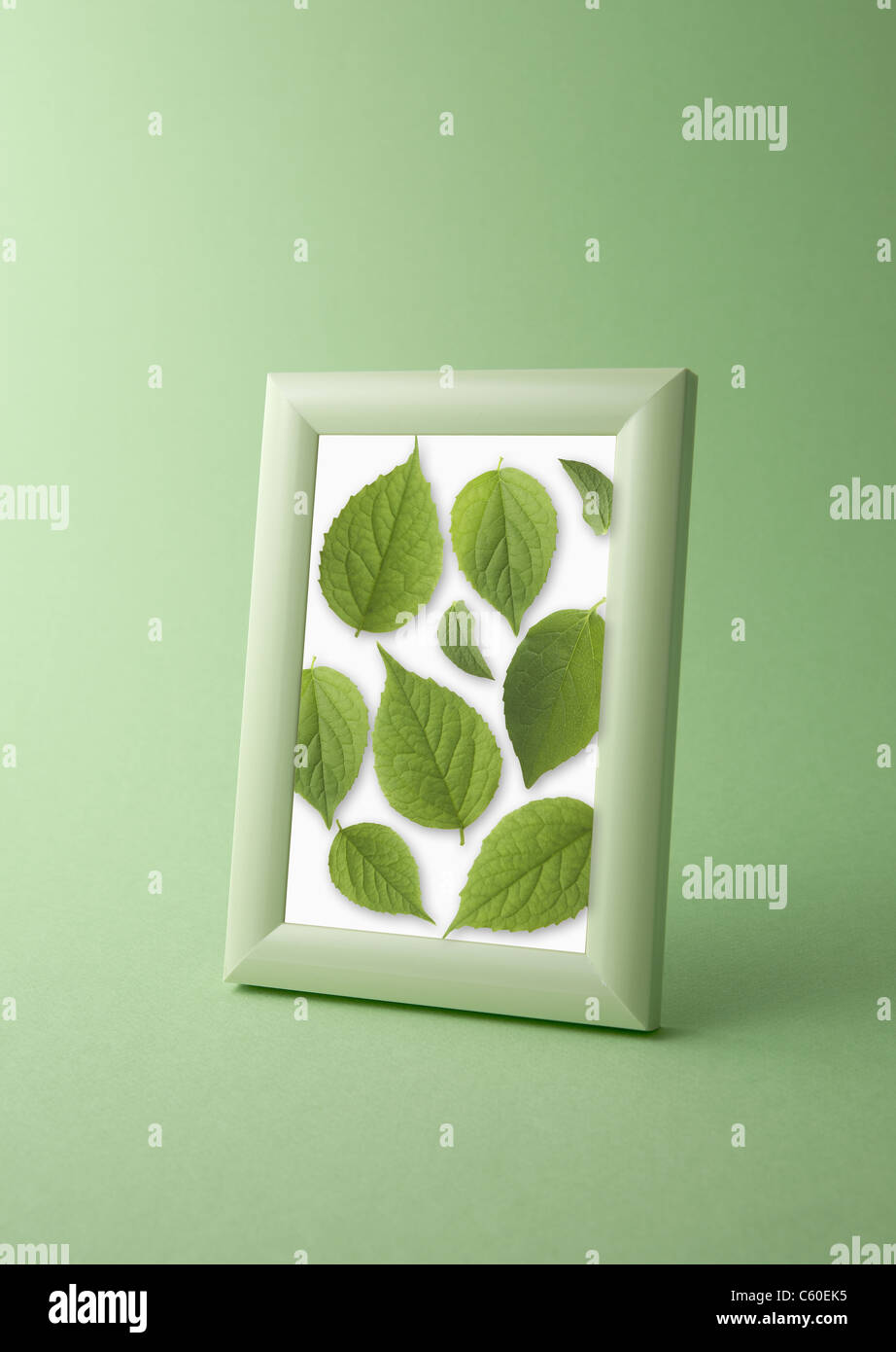 Photo frame with leaves Stock Photo - Alamy