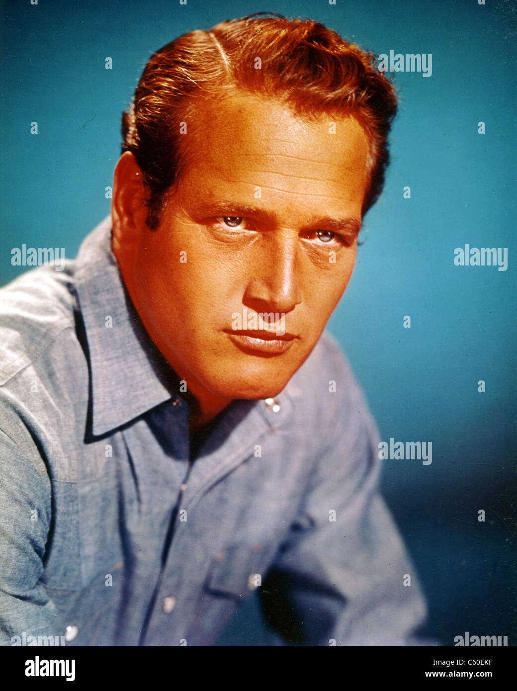 PAUL NEWMAN (1925-2008) US film actor and director about 1965 Stock ...