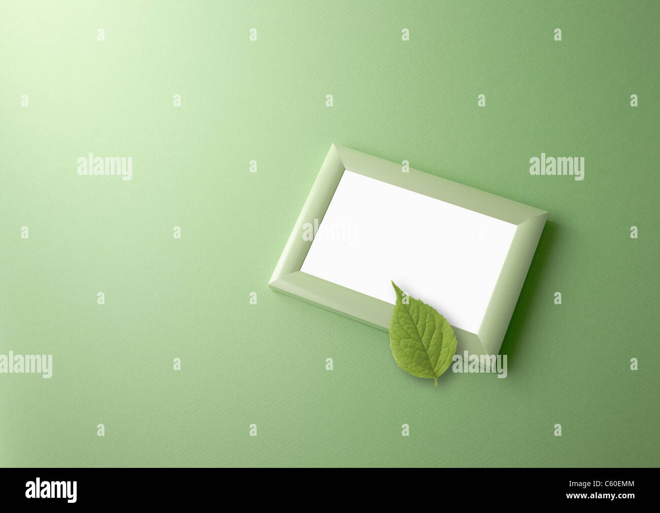 Photo frame with leaf Stock Photo - Alamy