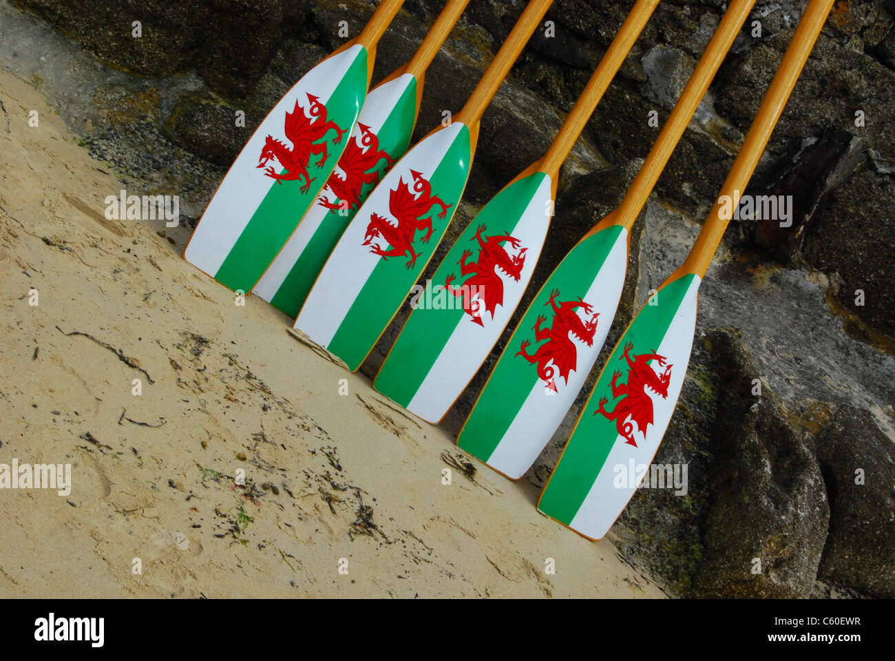 Rowing oars hi-res stock photography and images - Alamy