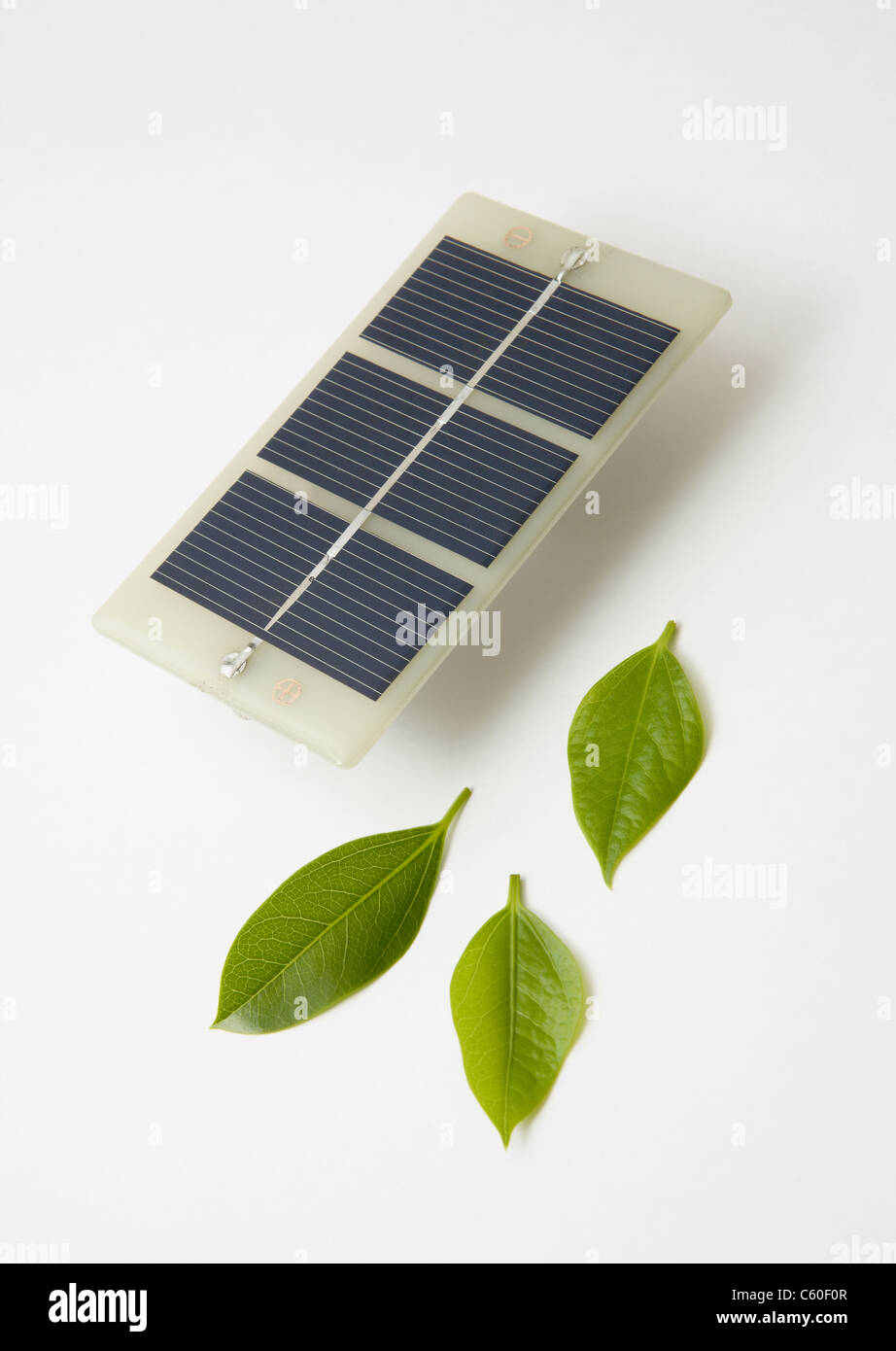 Solar panels and leaves Stock Photo - Alamy
