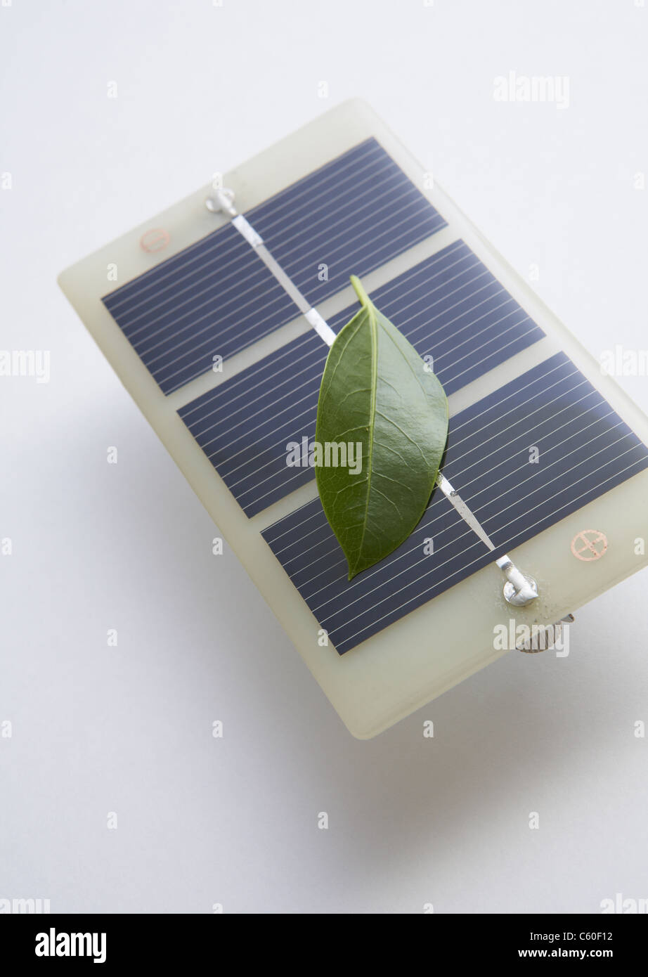 Solar panels and leaf hi-res stock photography and images - Alamy
