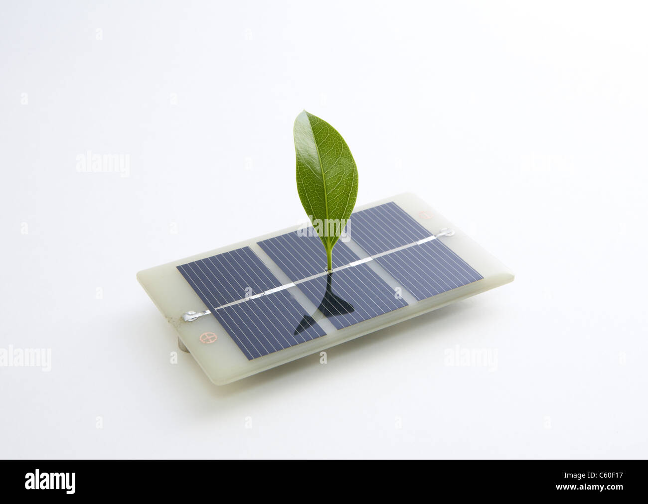 Solar panels and leaf hi-res stock photography and images - Alamy