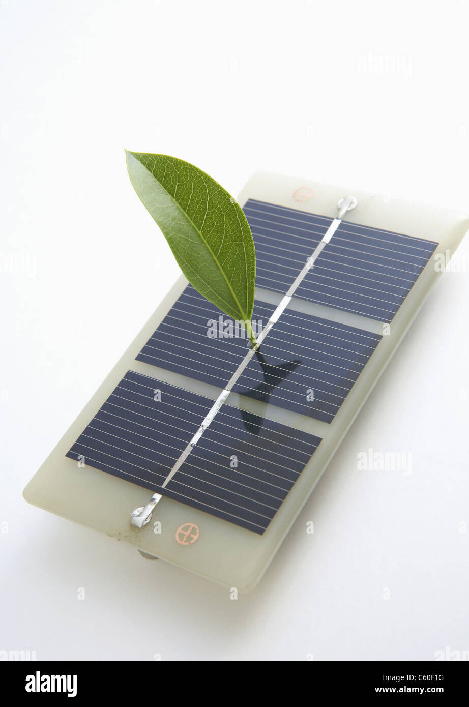 Solar panels and leaf Stock Photo - Alamy