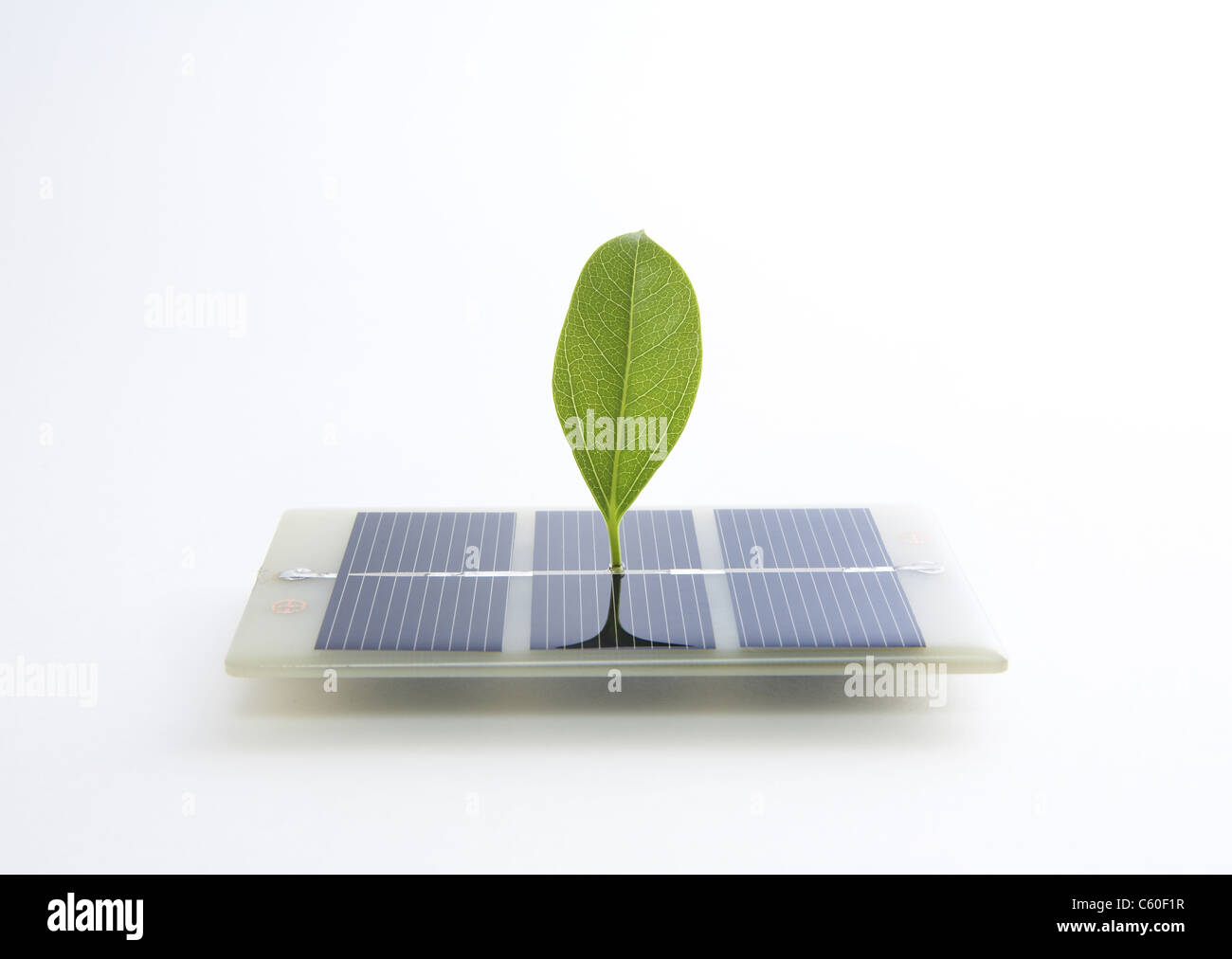 Solar panels and leaf Stock Photo - Alamy