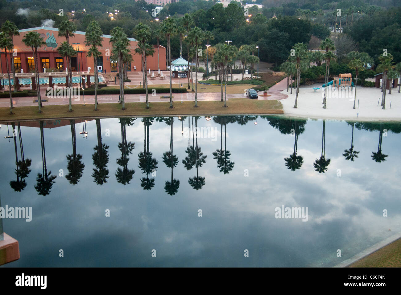 Ancient tress hi-res stock photography and images - Alamy