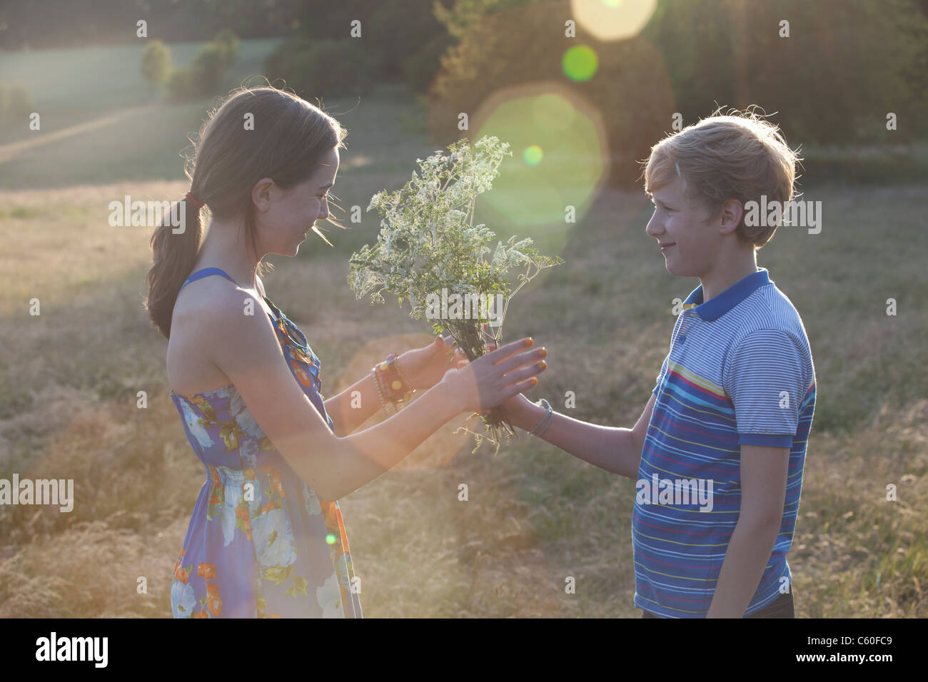 Boy giving girl flowers in field Stock Photo - Alamy