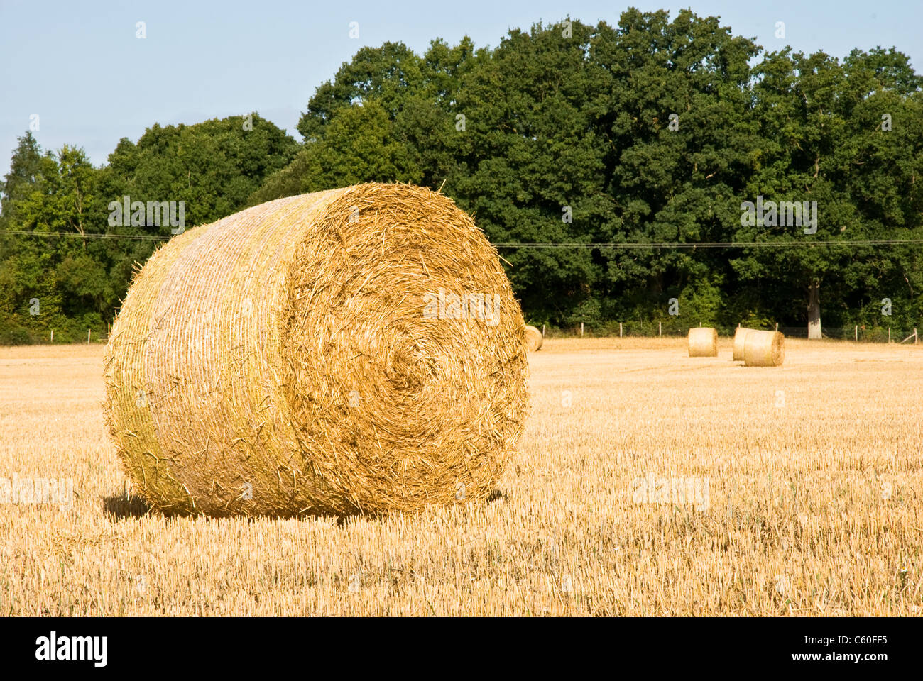 Bales of straw Stock Photo - Alamy