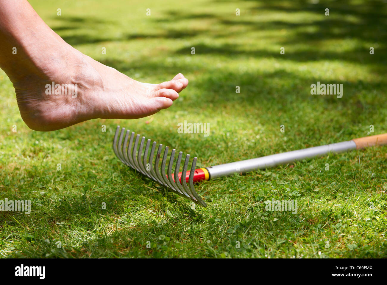 Bare foot about to step on rake Stock Photo - Alamy