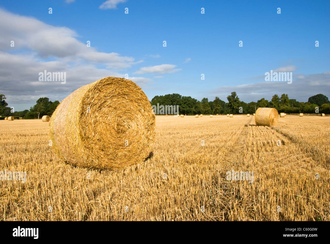 Bales of straw Stock Photo - Alamy