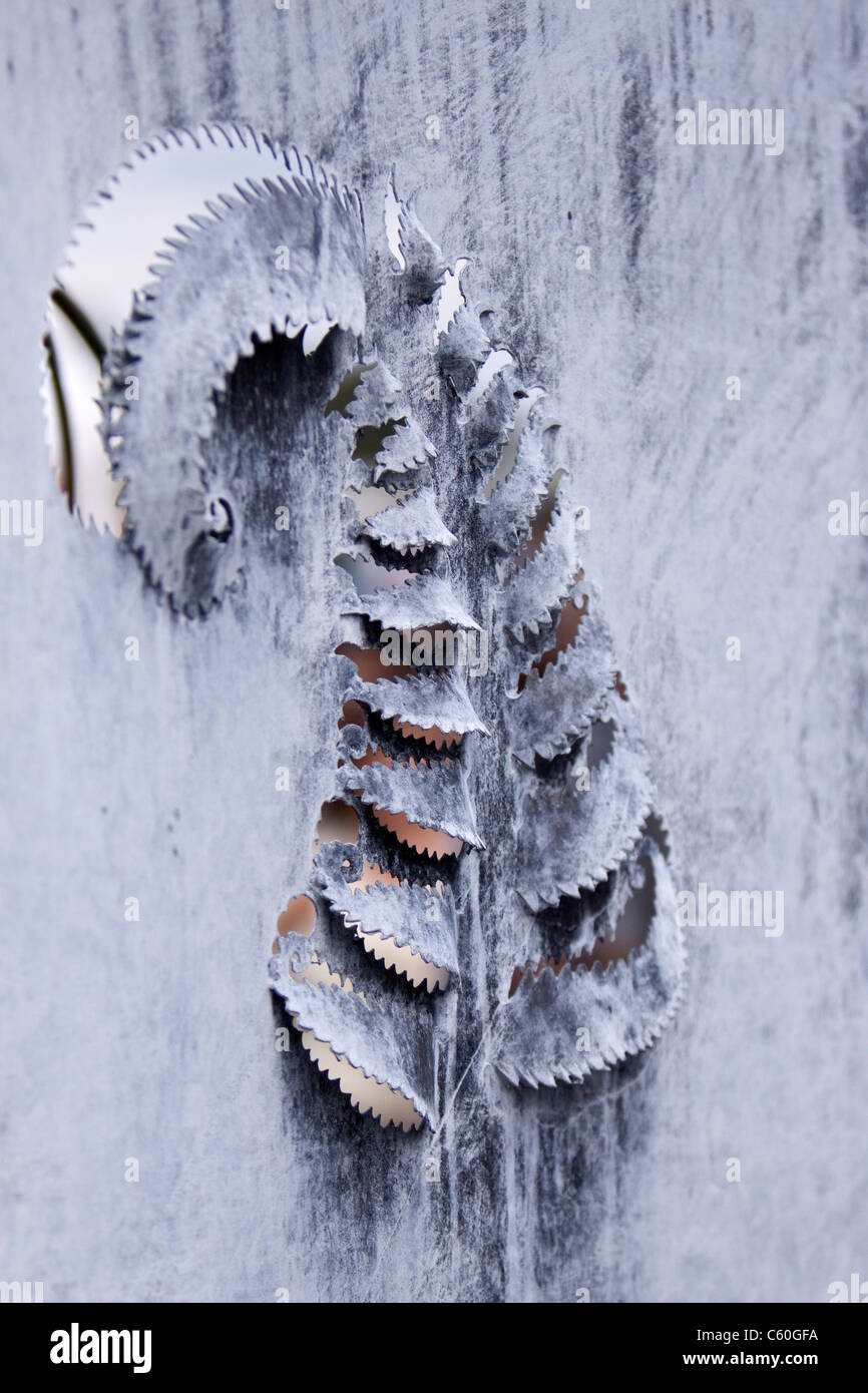 Steel fern sculpture, England, UK Stock Photo - Alamy