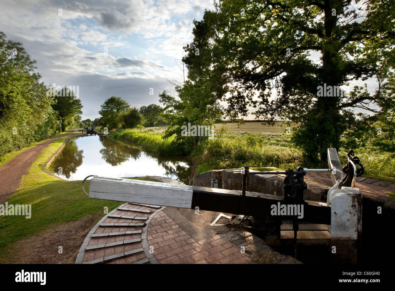 Evening light over Tardebigge locks, Worcester and Birmingham Canal ...