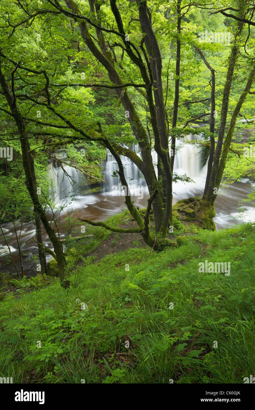 Sgwd y Pannwr Waterfall. Near Ystradfellte. Brecon Beacons National ...