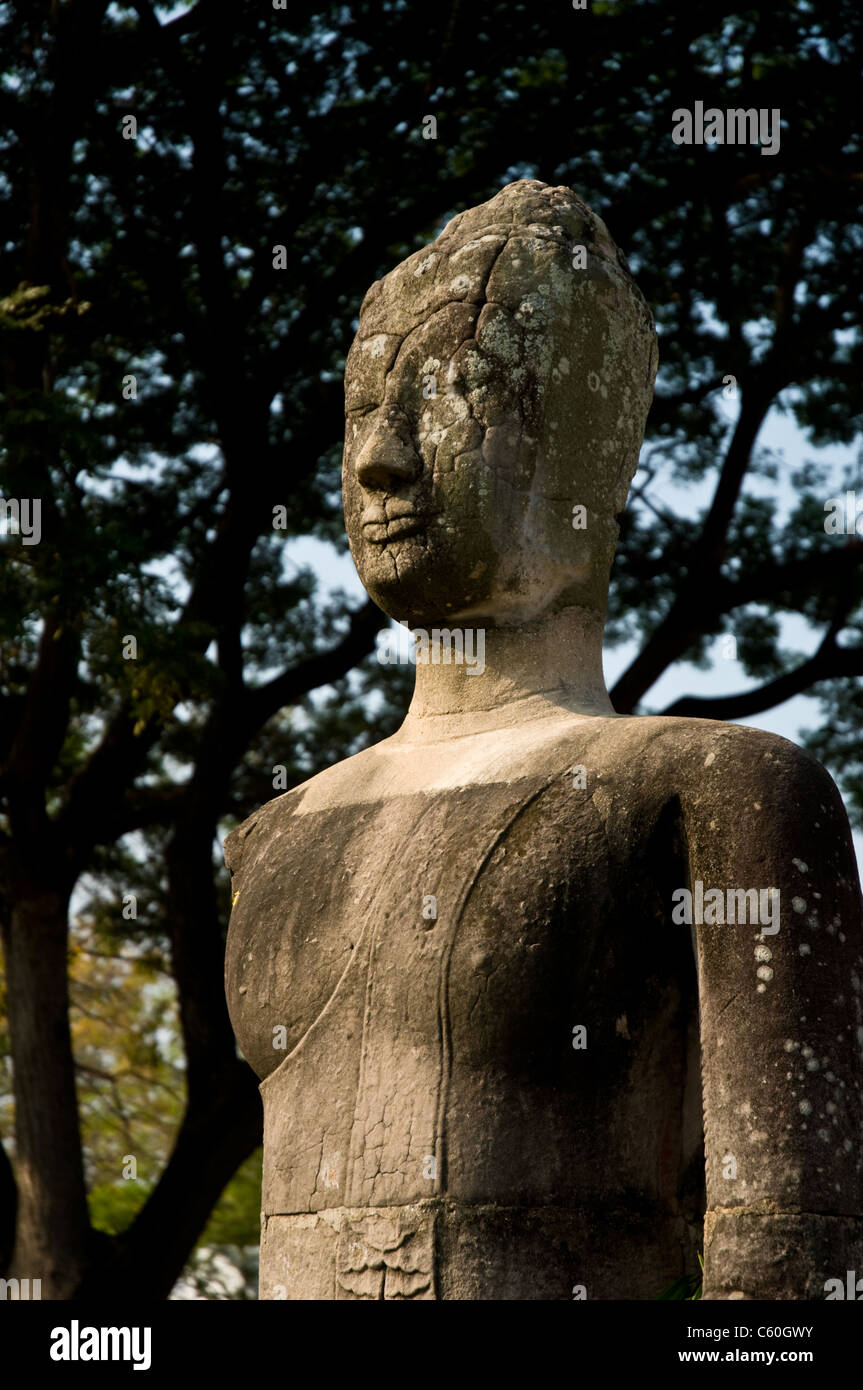 Buddha statue resting under a tree in Aytthaya Stock Photo - Alamy