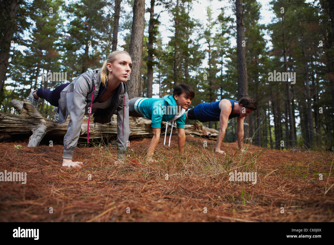Runners doing push-ups in forest Stock Photo - Alamy