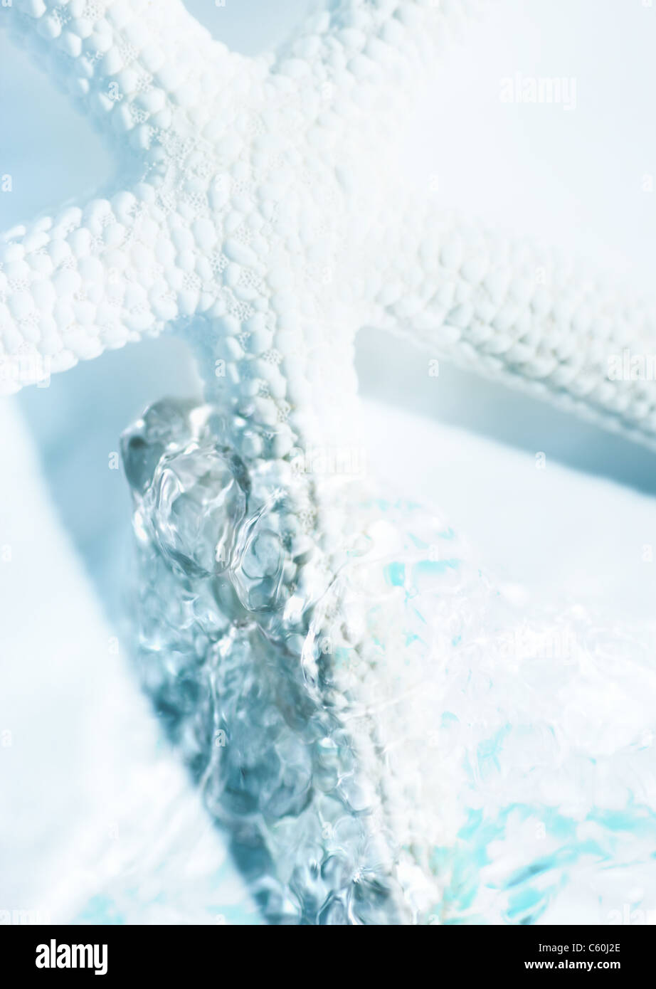 Starfish and bubbles Stock Photo - Alamy