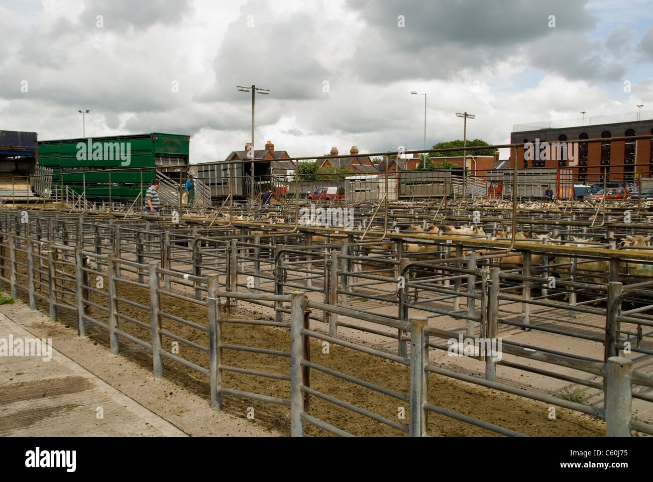 Farmers loading stock on the last day of sales at the old livestock ...