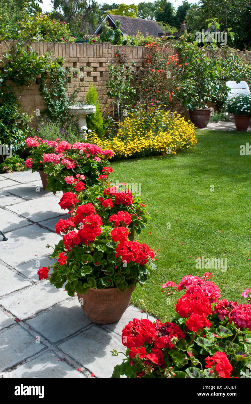 Red geraniums in pot hi-res stock photography and images - Alamy