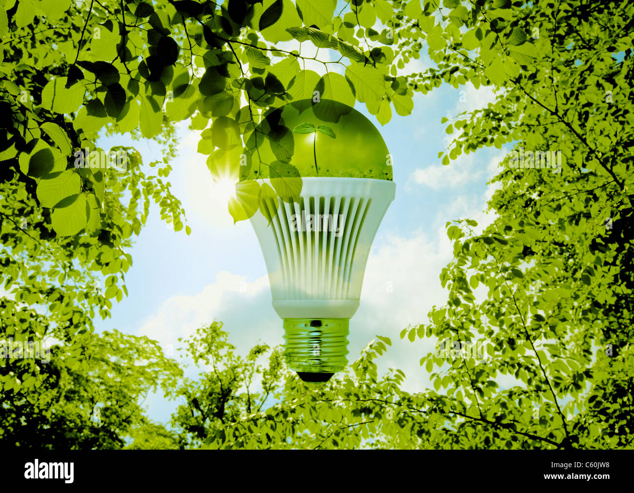 LED bulb and fresh green Stock Photo - Alamy