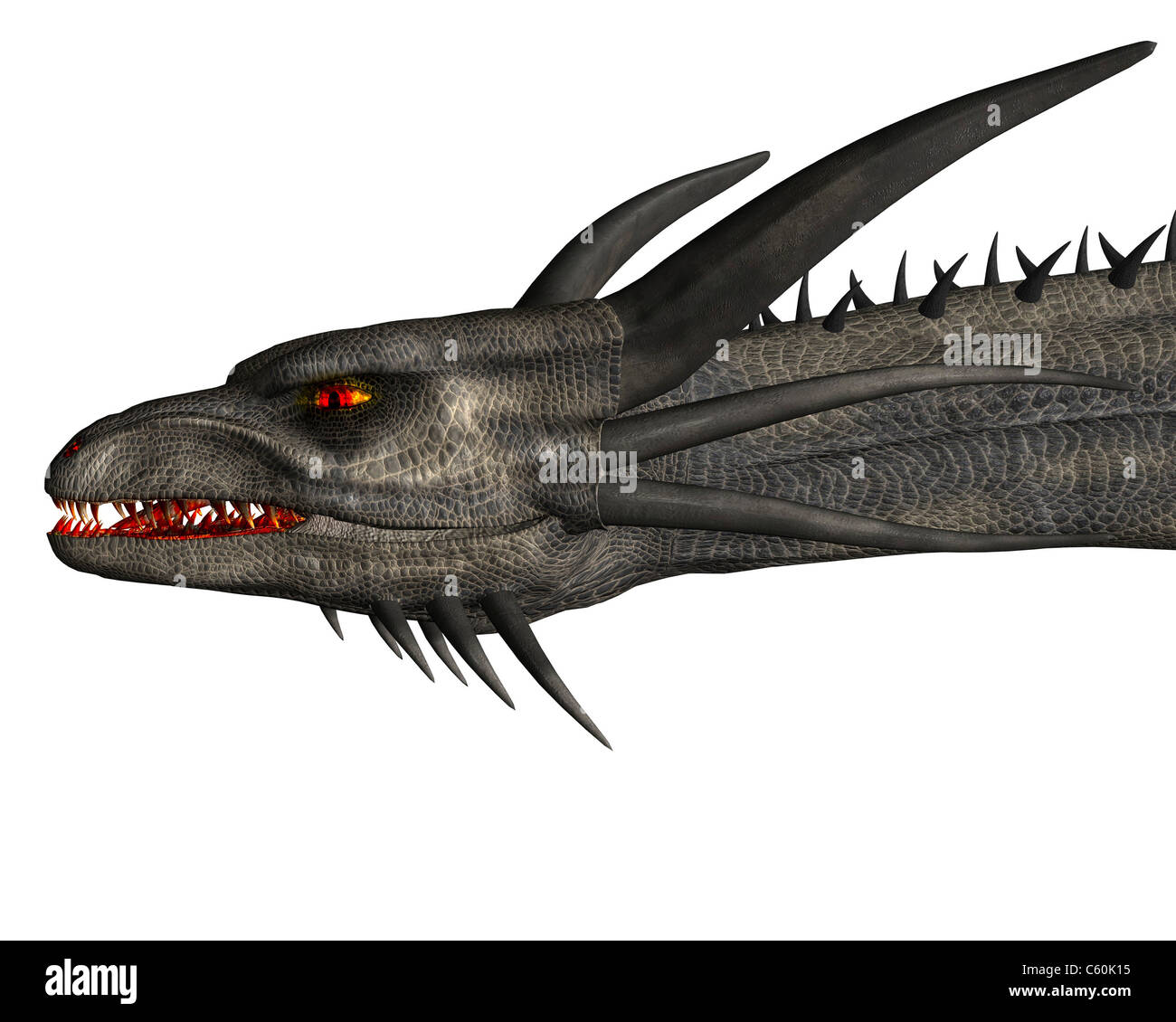 Grey Dragon in close-up Stock Photo - Alamy