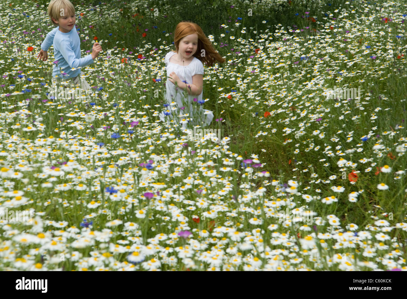 Children running in field of flowers Stock Photo - Alamy