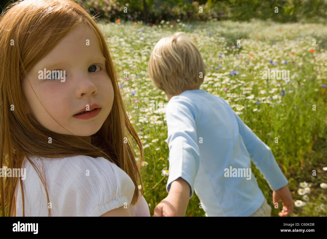 Children walking in field of flowers Stock Photo - Alamy