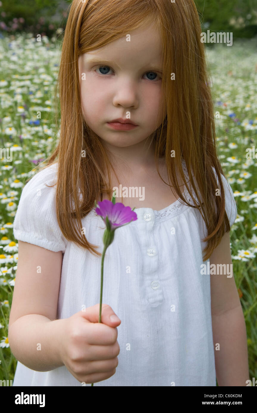 Girl picking flowers in field Stock Photo - Alamy
