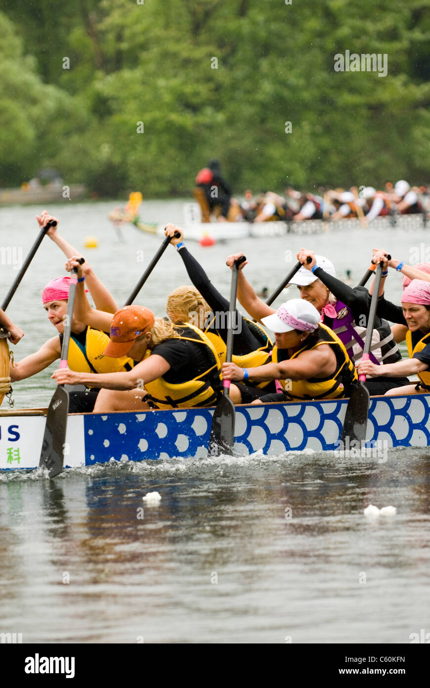 The Wonder Bra's Dragon Boat racing at the21st TELUS Toronto ...
