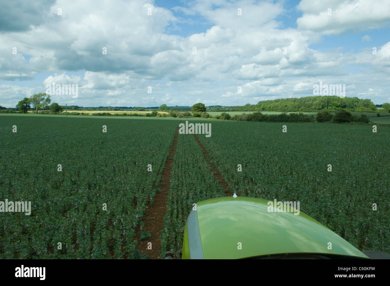 Vast agriculture farm wheat field hi-res stock photography and images ...