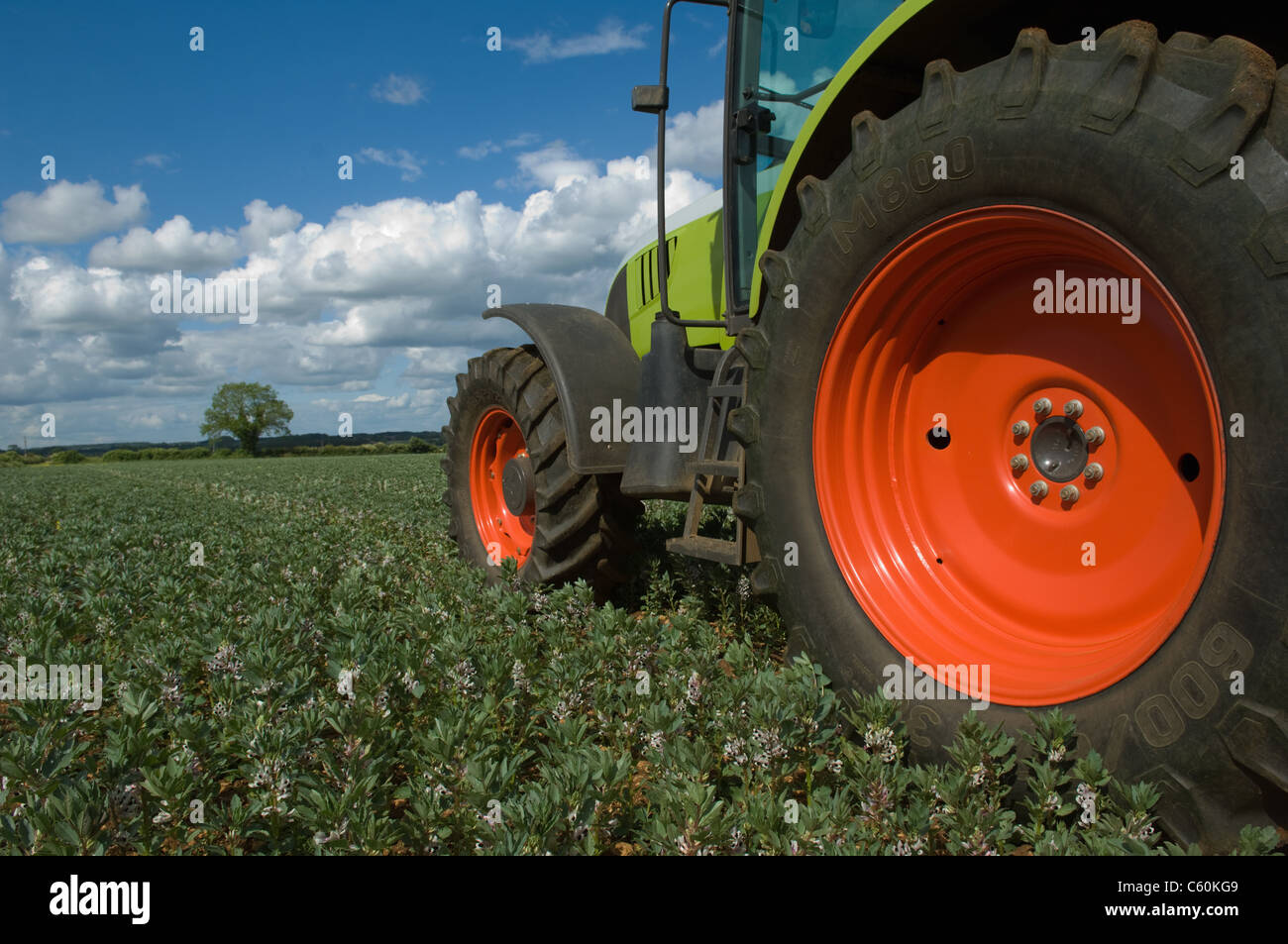 Tractor driving through crops Stock Photo - Alamy