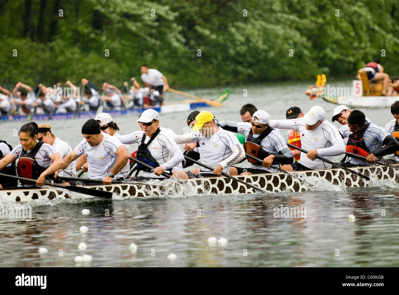 The Mayfair Predator Dragon Boat racing at the21st TELUS Toronto ...