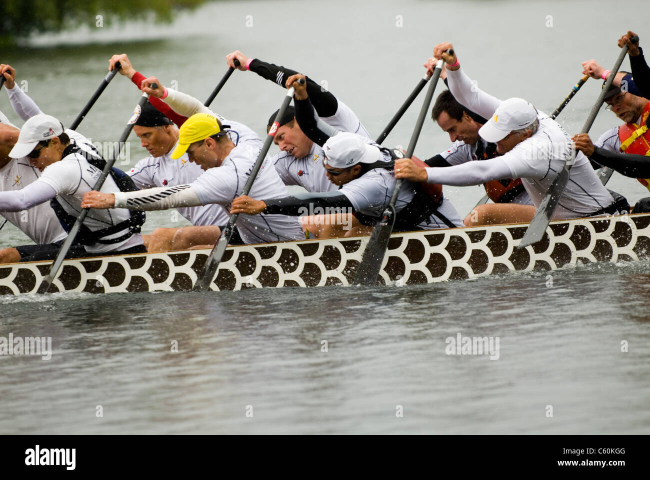 The Mayfair Predator Dragon Boat racing at the21st TELUS Toronto ...
