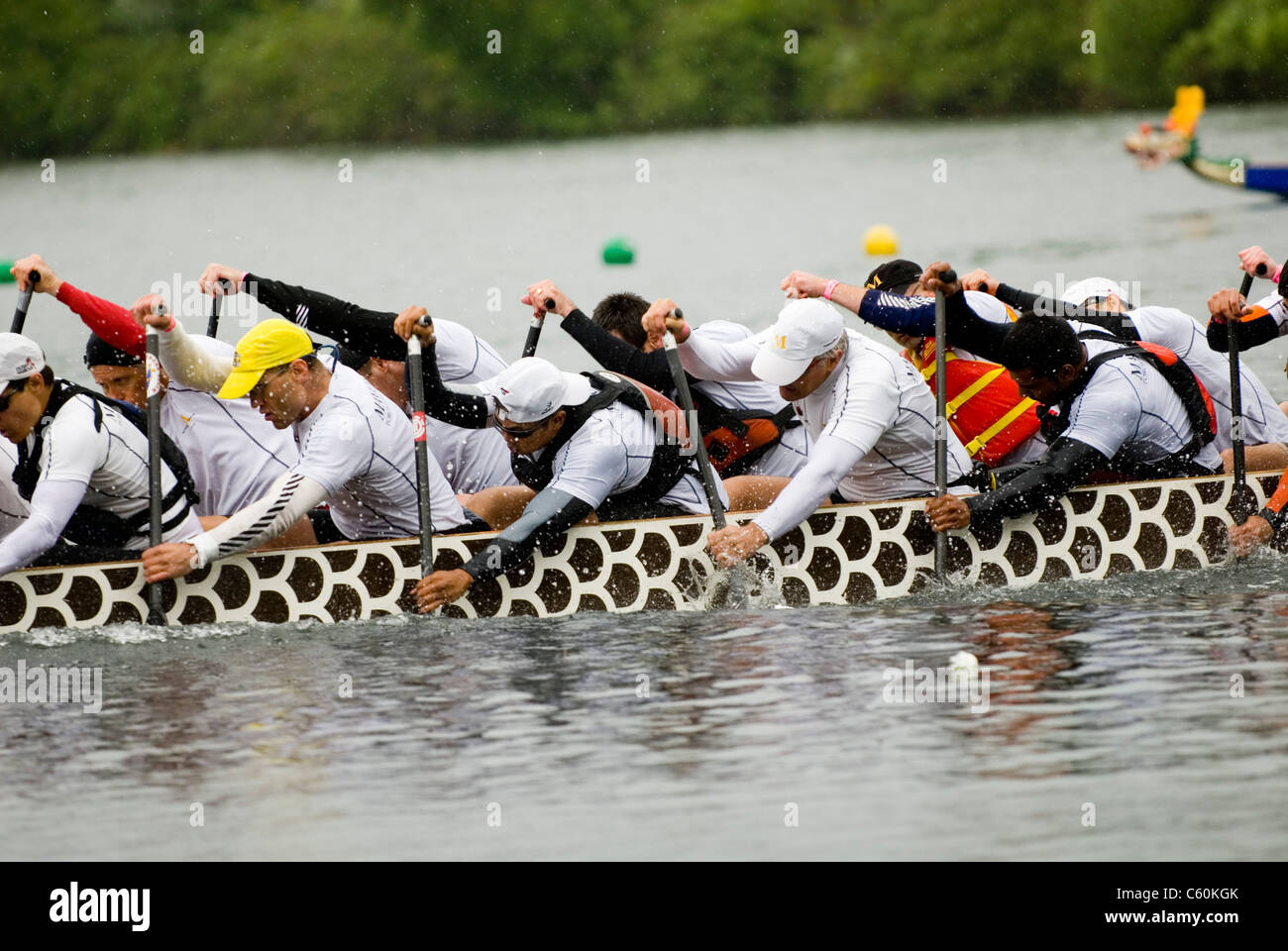 The Mayfair Predator Dragon Boat racing at the21st TELUS Toronto ...