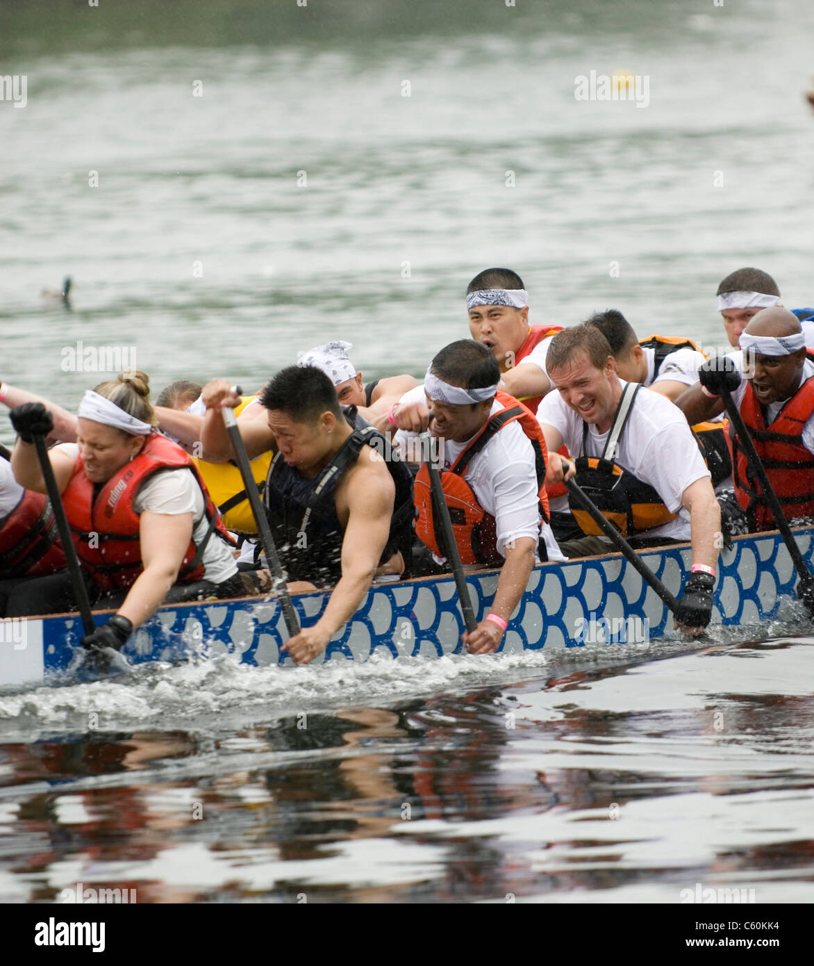 Wild Dragon Dragon Boat racing at the21st TELUS Toronto International ...