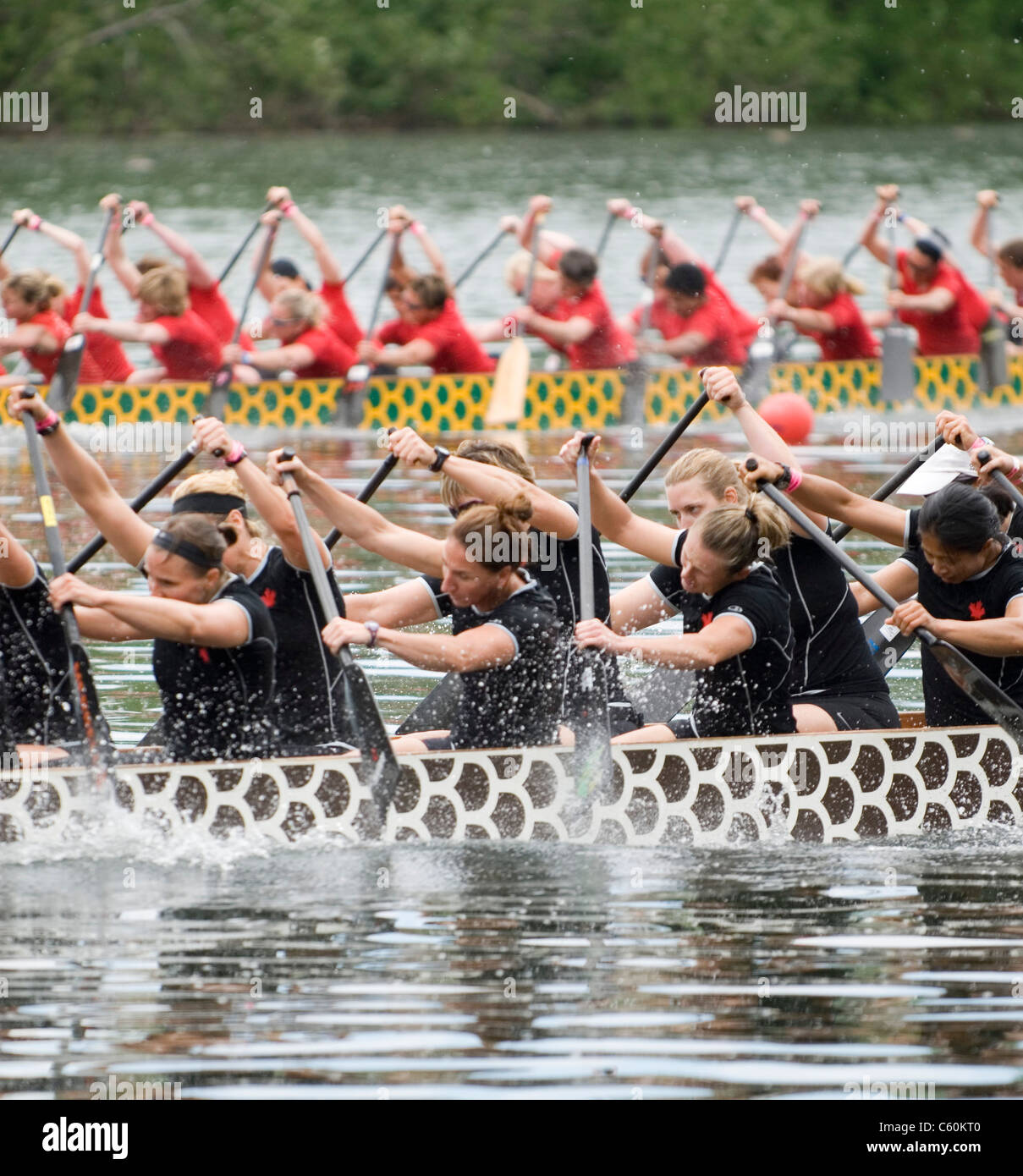 Canadian National Womens Premier Dragon Boat racing at the21st TELUS ...