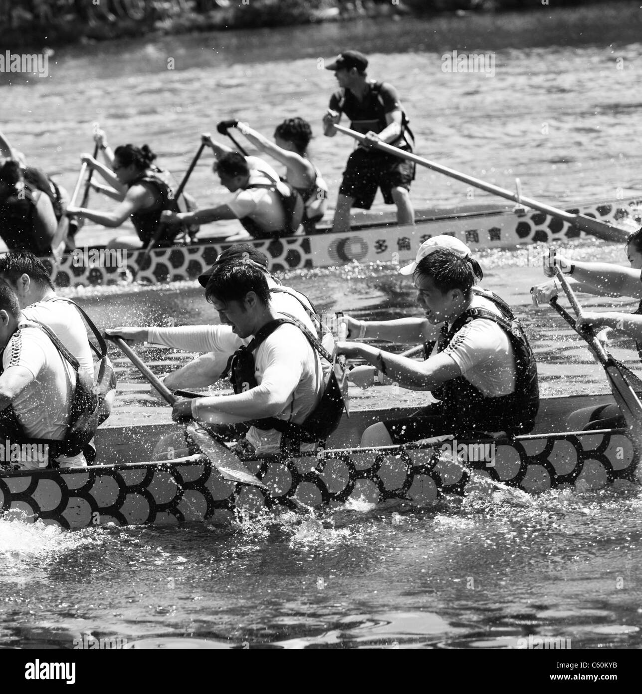Piranhas DBC Dragon Boat racing at the21st TELUS Toronto International ...