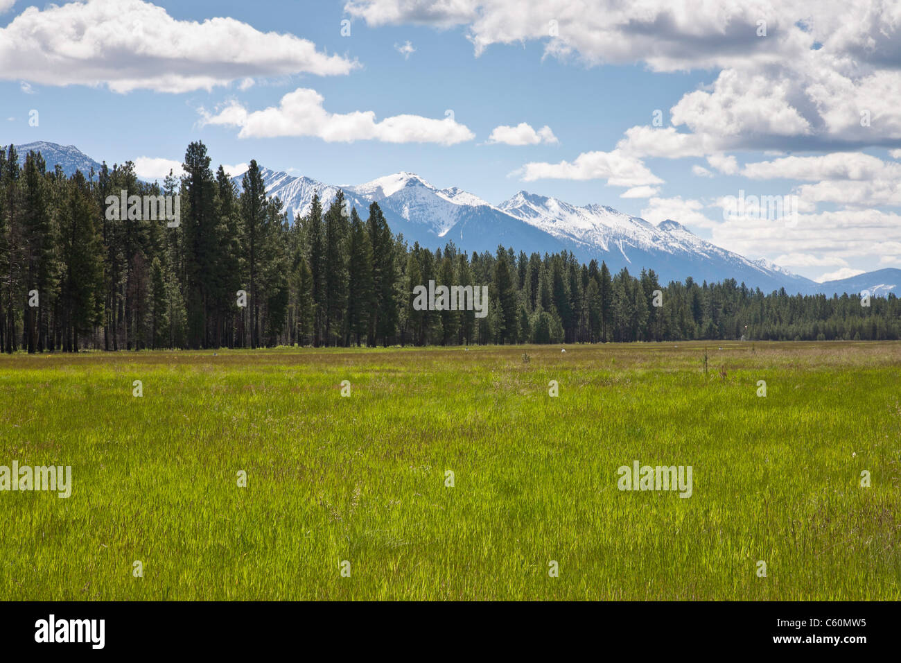 Swan Mountain Range, Rockies, MT Stock Photo - Alamy