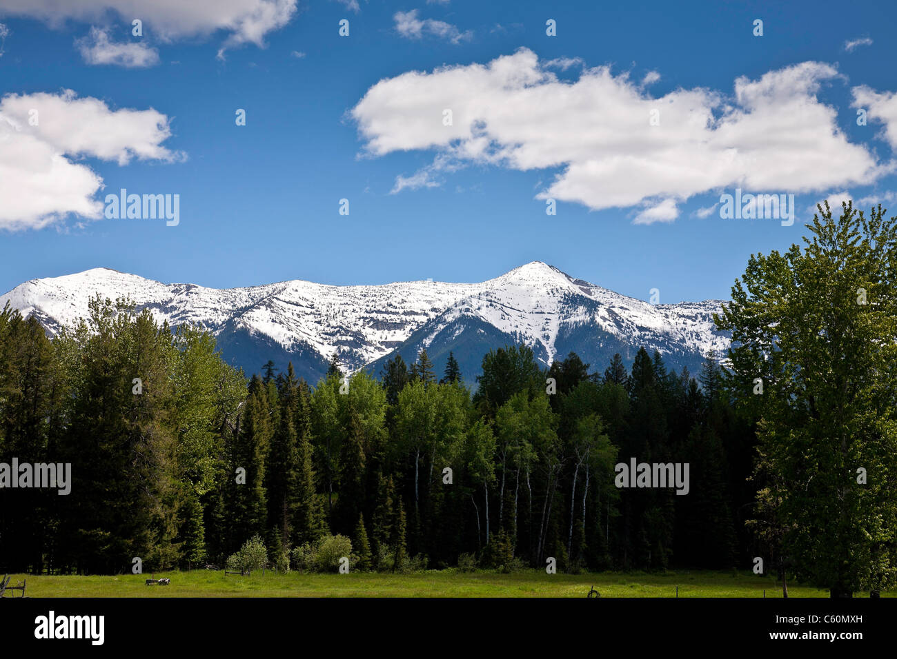 Swan valley swan mountain range hi-res stock photography and images - Alamy