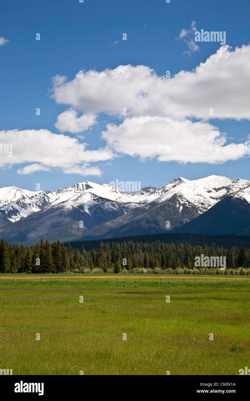 Swan Mountain Range, Rockies, MT Stock Photo - Alamy
