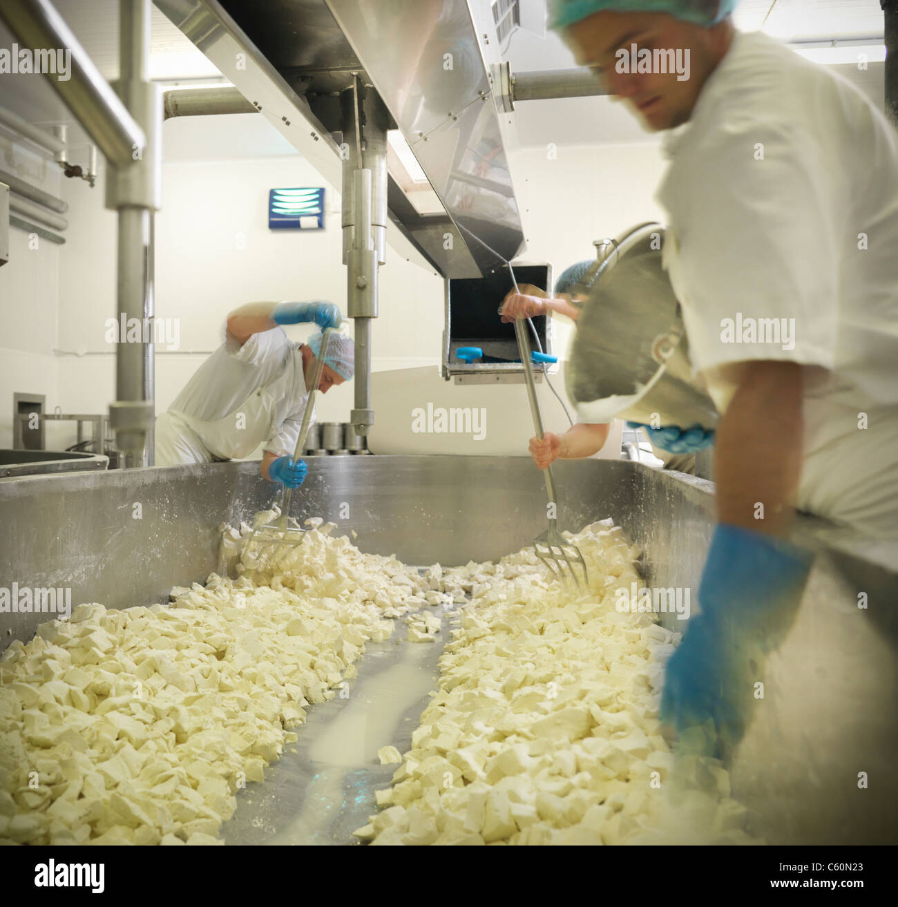 Making of cheese with curd hi-res stock photography and images - Alamy