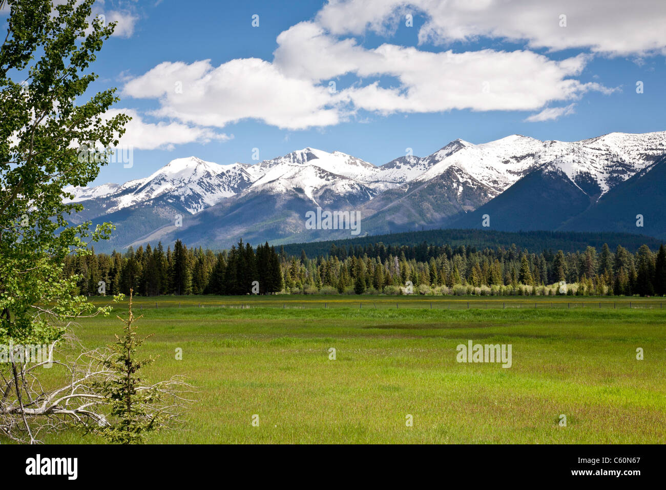 Swan Mountain Range, Rockies, MT Stock Photo - Alamy