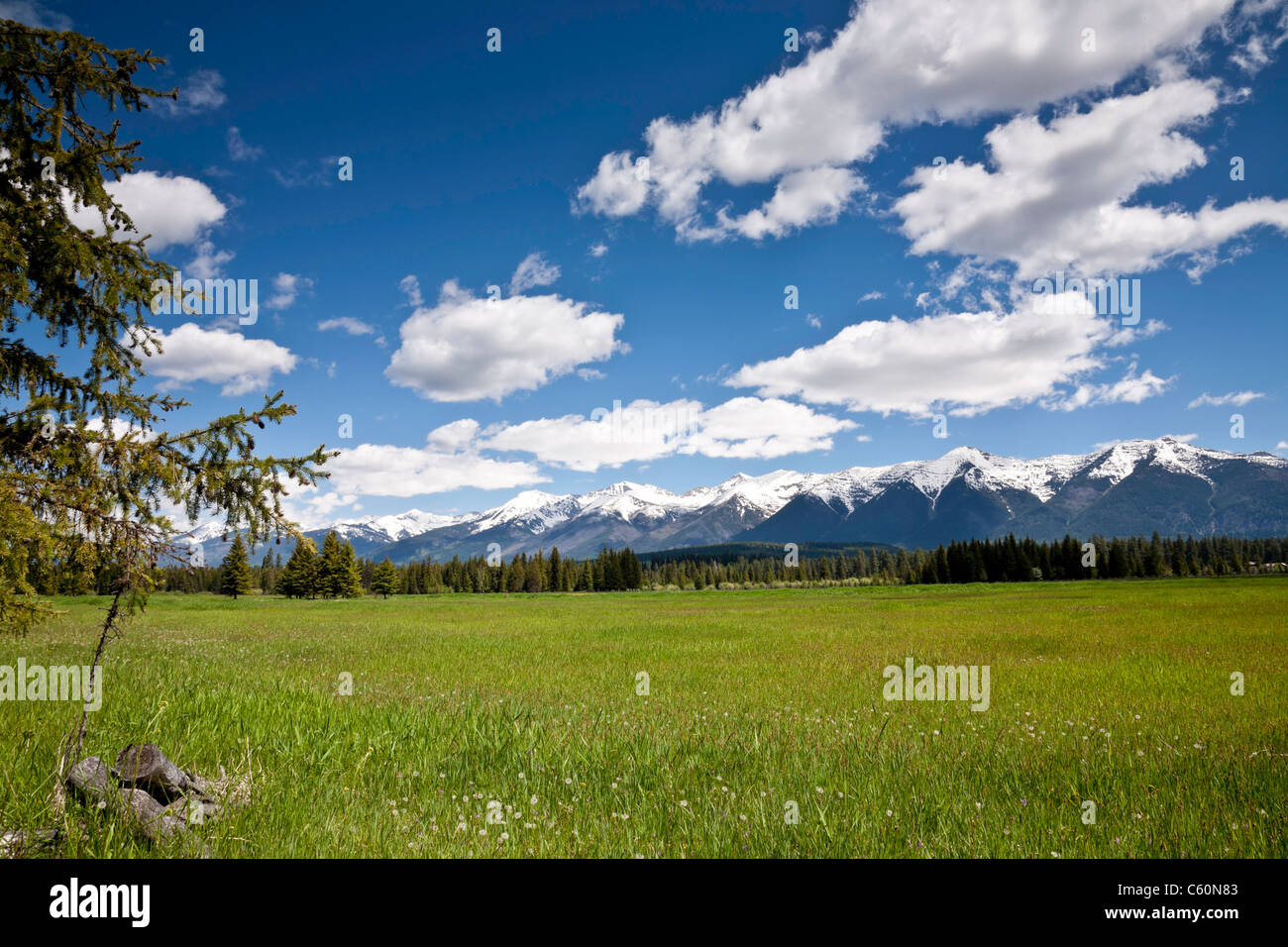 Swan Mountain Range, Rockies, MT Stock Photo - Alamy