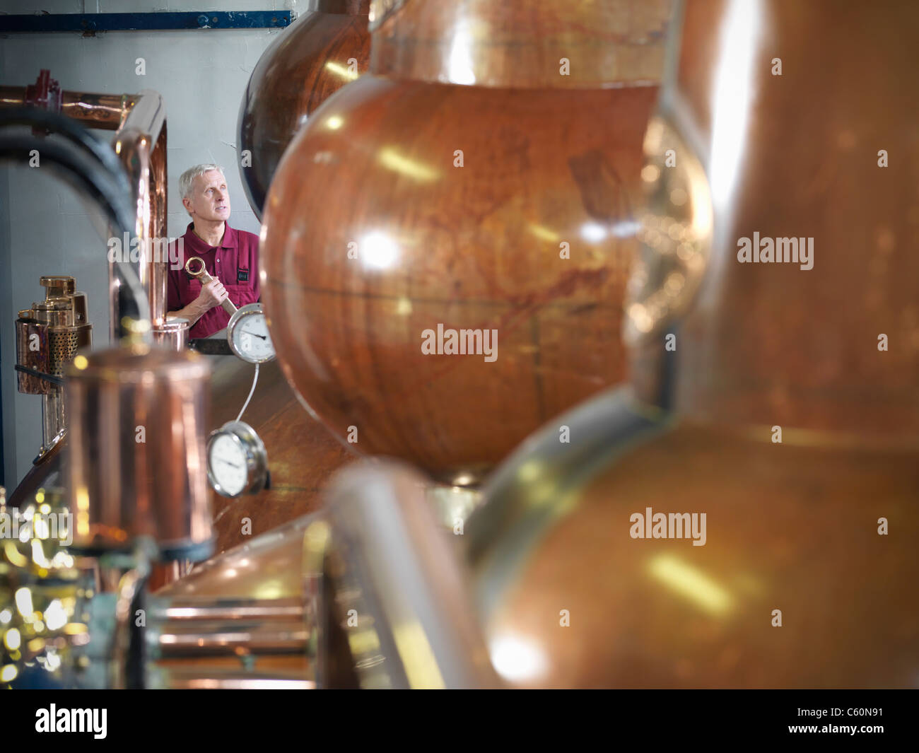 Worker with stills in distillery Stock Photo - Alamy
