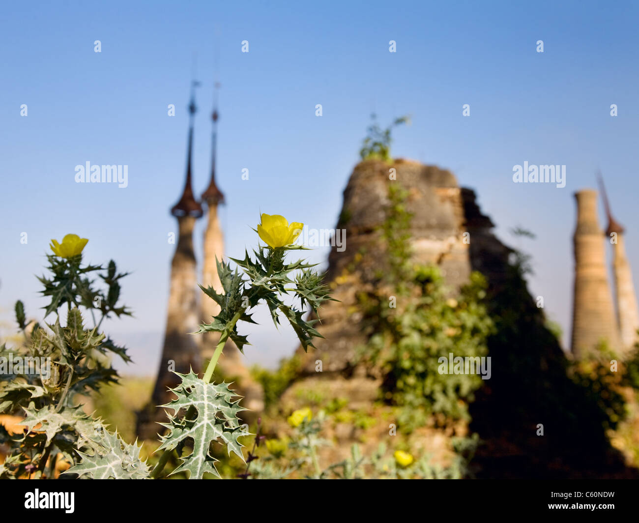 pagoda ruins of Indein, Burma, Myanmar (also called Indiana Jones ...